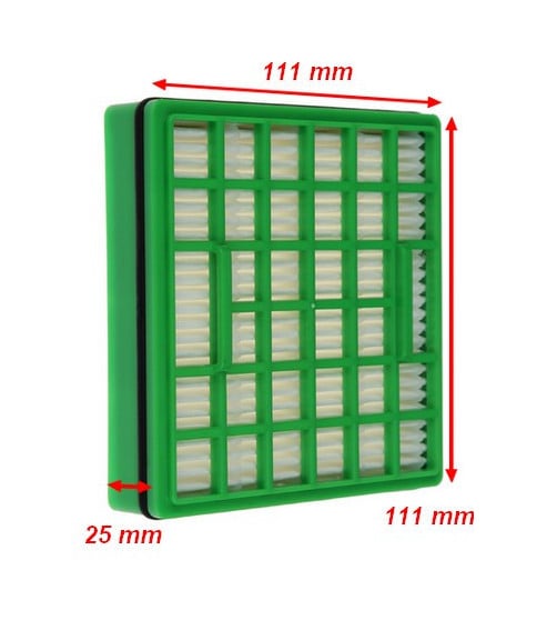 Filtre Hepa aspirateur Rowenta RS-RT3186